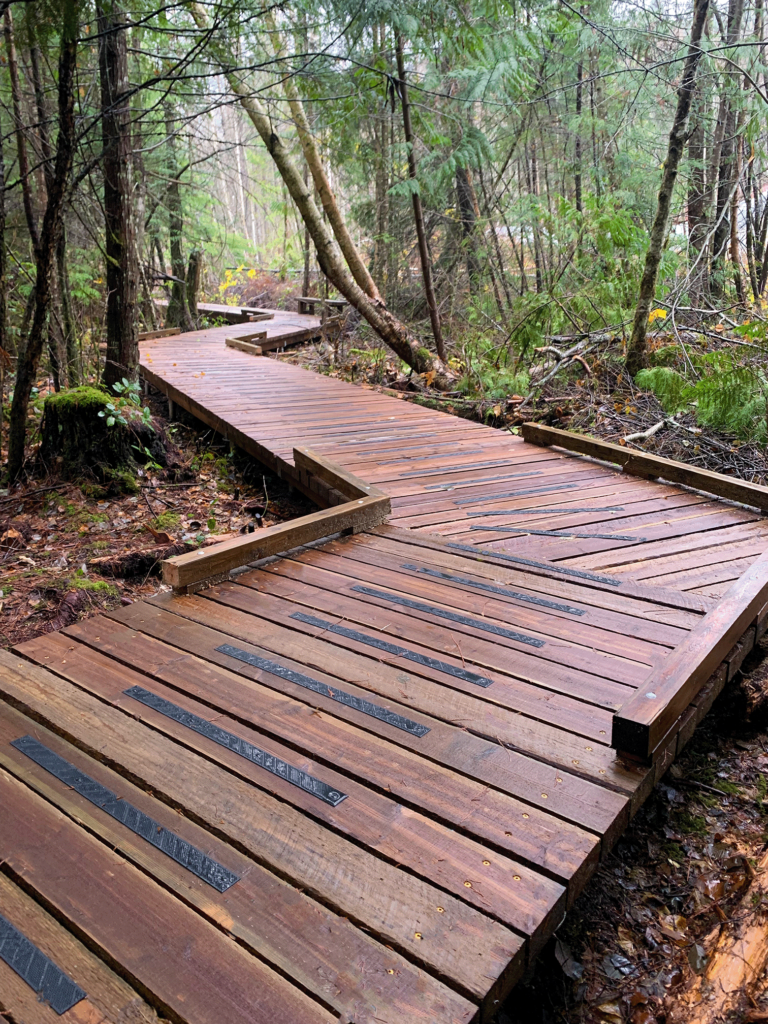 Bridle Ridge Boardwalk - New Rhodes Construction
