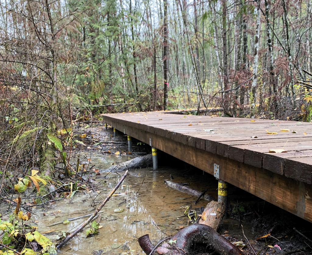 Bridle Ridge Boardwalk - New Rhodes Construction