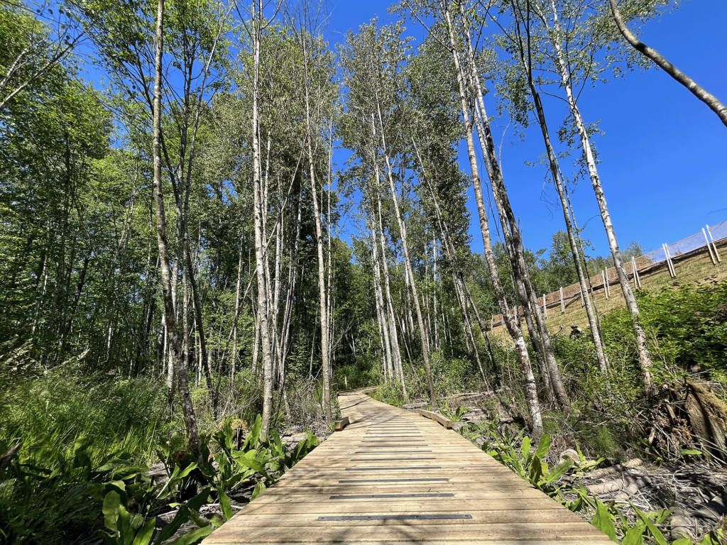 Bridle Ridge Boardwalk - New Rhodes Construction