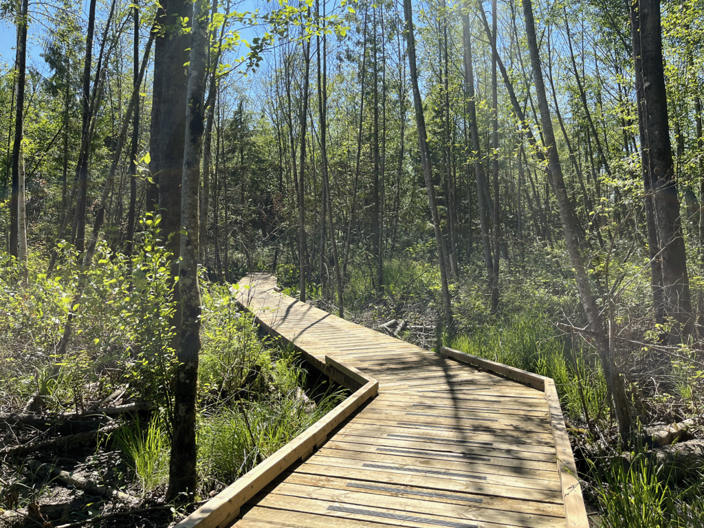 Bridle Ridge Boardwalk - New Rhodes Construction