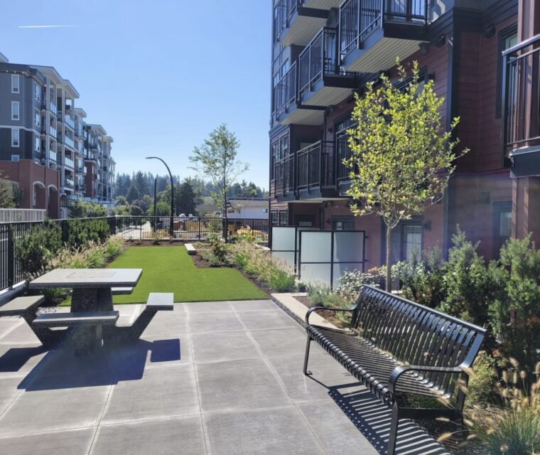 Albert Dyck Park - New Rhodes Construction