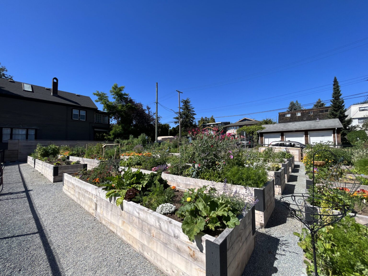 Alder Street Community Garden - New Rhodes Construction