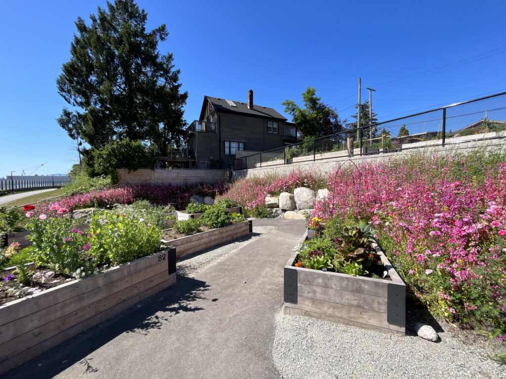 Alder Street Community Garden - New Rhodes Construction